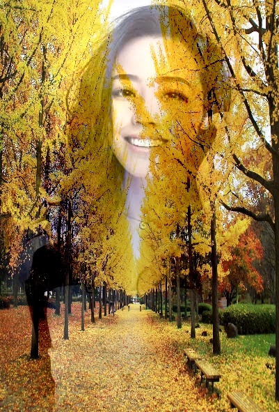 OpenCV合并图片cv2.add、无缝连接图片cv2.addWeighted、图片克隆cv2.seamlessClone 效果对比、按位运算bitwise_and-CSDN博客