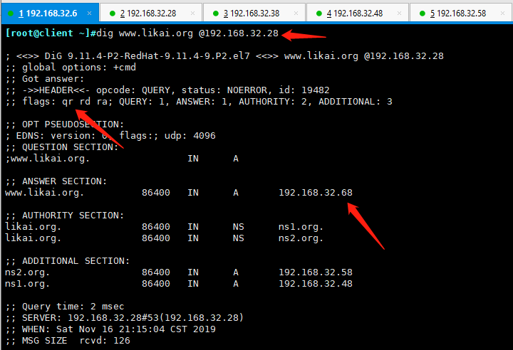 DNS服务架构_dns架构-CSDN博客