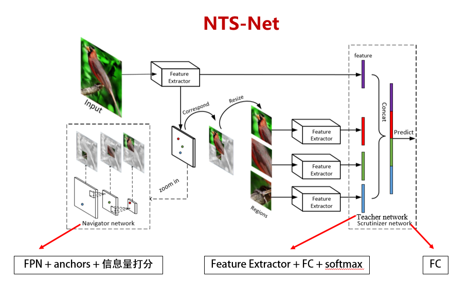 NTS-Net-CSDN博客