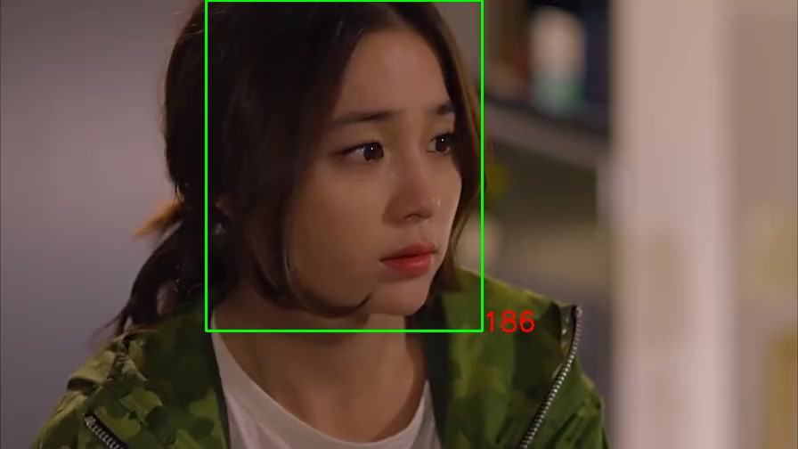 在图像上添上boundingbox标识框和标注文本_cv2图片显示bounding box-CSDN博客