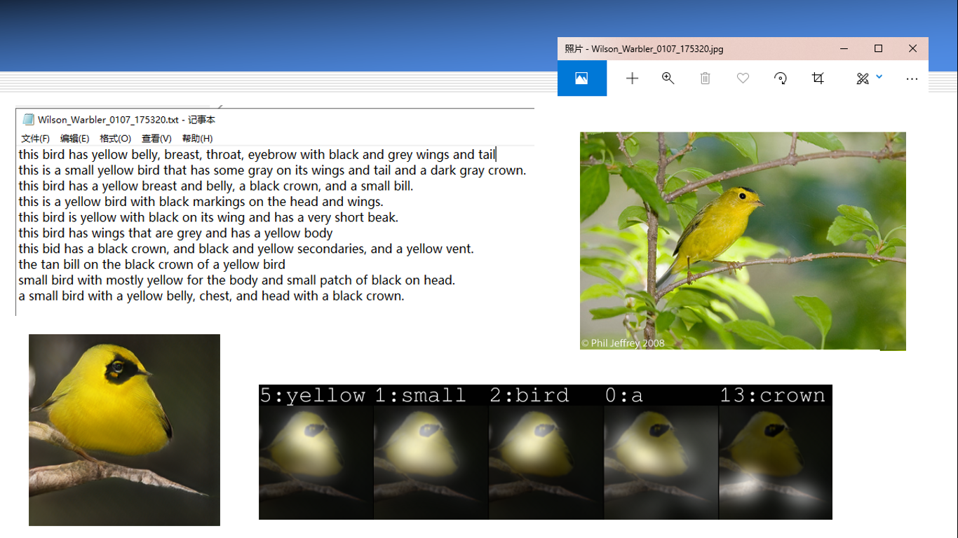 【论文阅读】AttnGAN: Fine-Grained Text to Image Generationwith Attentional Generative Adversarial ...
