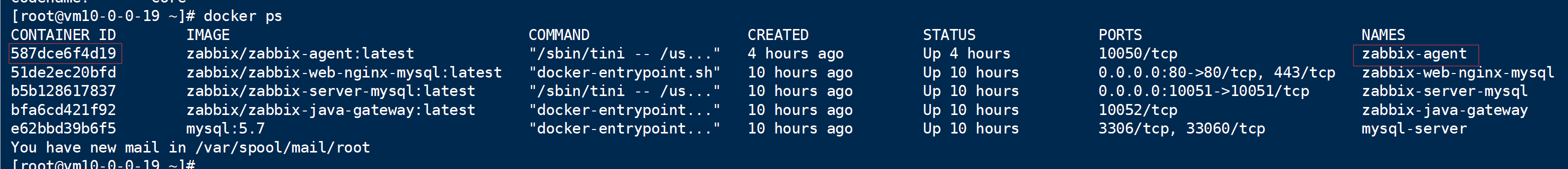 docker zabbix agent安装_docker安装zabbix-agent-CSDN博客