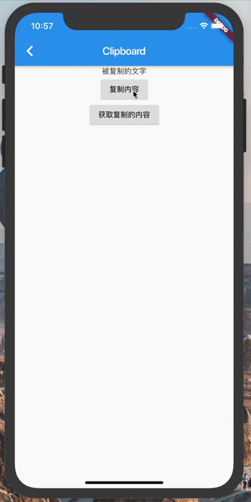【Flutter】四十四、Flutter粘贴板——Clipboard、ClipboardData-CSDN博客