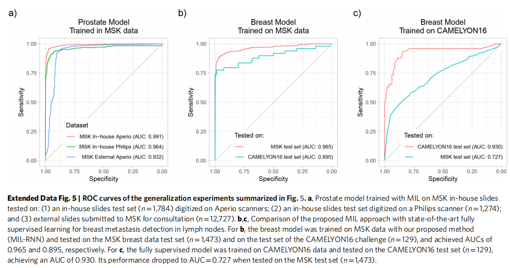 Clinical grade computional pathology using weakly supervised deep ...
