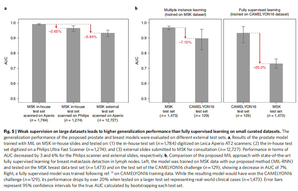 Clinical grade computional pathology using weakly supervised deep ...