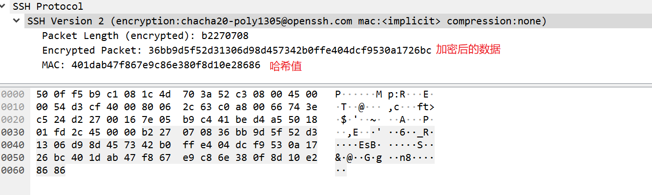Ssh协议分析ssh Server Host Key Csdn博客 