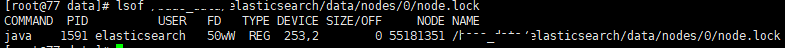 elasticsearch报错，failed to obtain node locks-CSDN博客