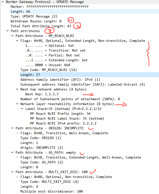 FRR BGP协议分析4 -- 路由更新(1)_bgp nlri-CSDN博客