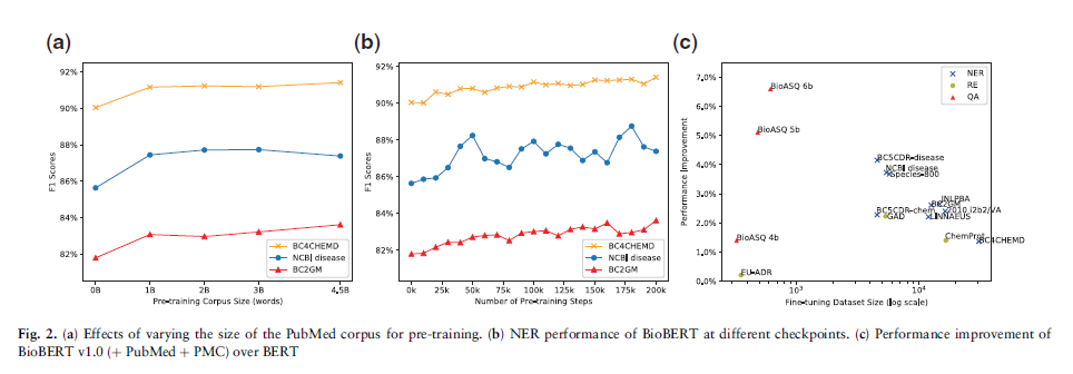 BioBERT:用于生物医学文本挖掘的预训练生物医学语言表示模型-CSDN博客