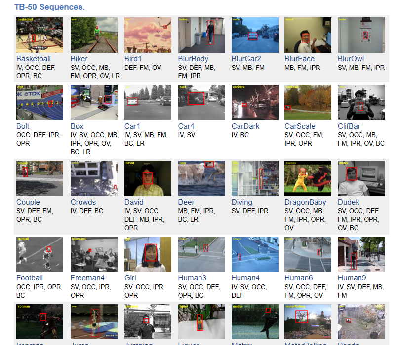 OTB（Object Tracking Benchmark）成功配置全过程_otb100数据集下载 csdn-CSDN博客