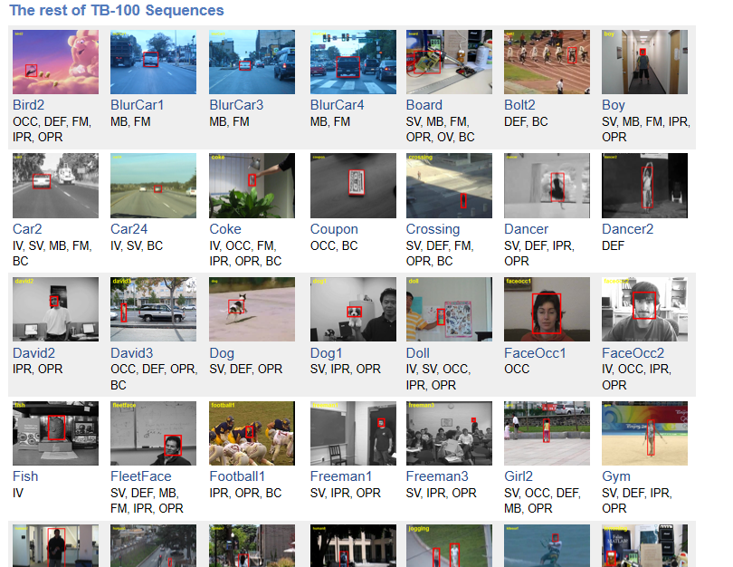 OTB（Object Tracking Benchmark）成功配置全过程_otb100数据集下载 csdn-CSDN博客