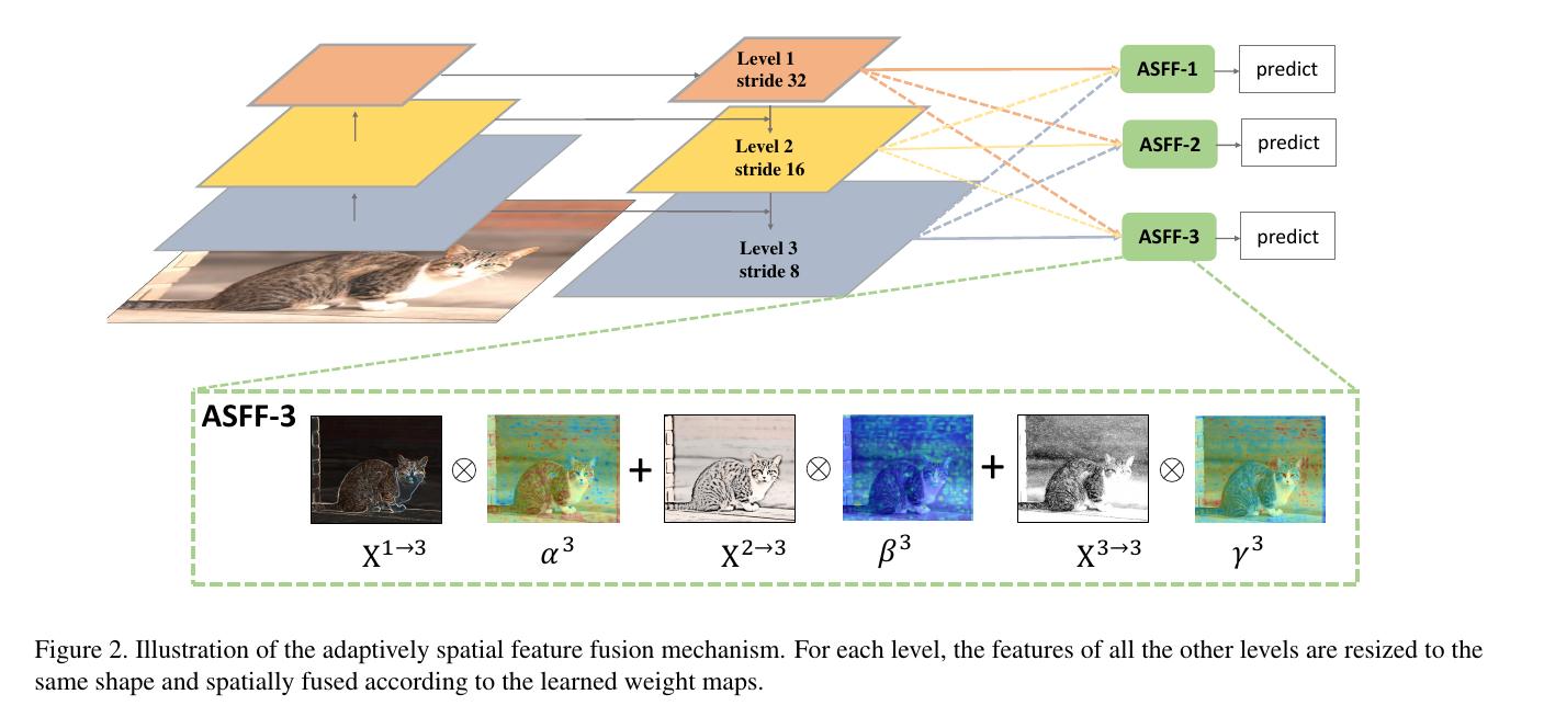 一种新的特征融合方式：《Learning Spatial Fusion for Single-Shot Object Detection》解读_asff自适应特征融合如何可视化分析-CSDN博客
