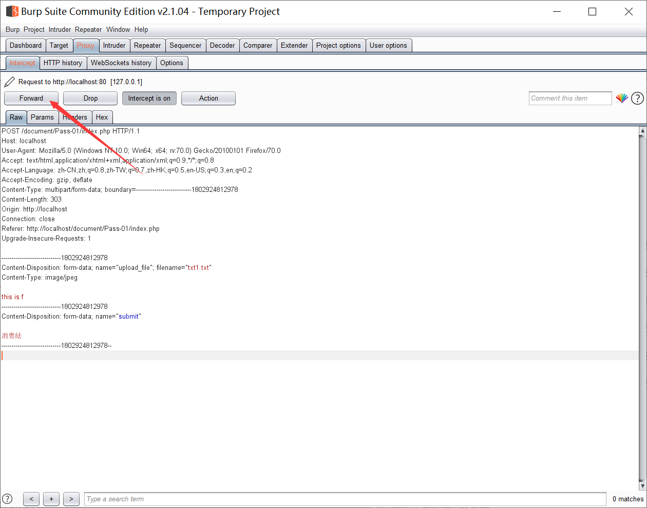 利用burpsuite做简易的文件上传实验，内含软件、插件安装教程_burp文件上传点-CSDN博客