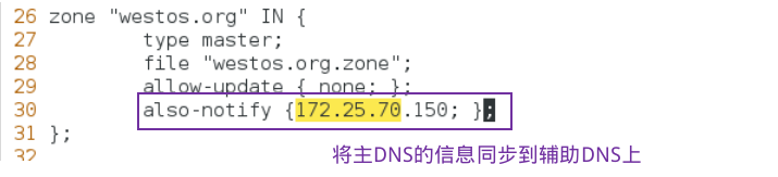 DNS部署之DNS集群_window dns集群部署-CSDN博客