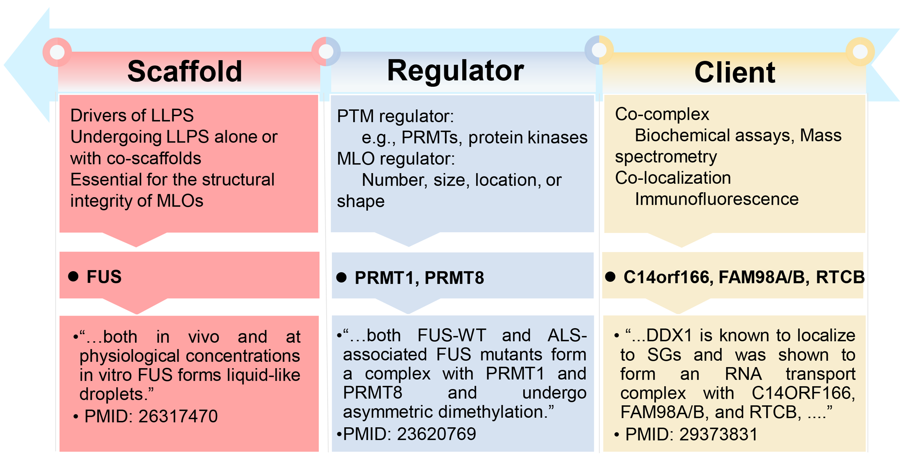 DrLLPS (相分离数据库): 第一个注释全面的液液相分离相关蛋白质数据库 (liquid-liquid phase separation ...