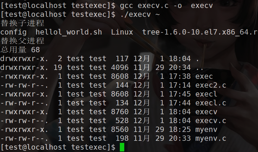 Linux 进程控制(创建/退出/等待/替换)_wexitstatus perror-CSDN博客