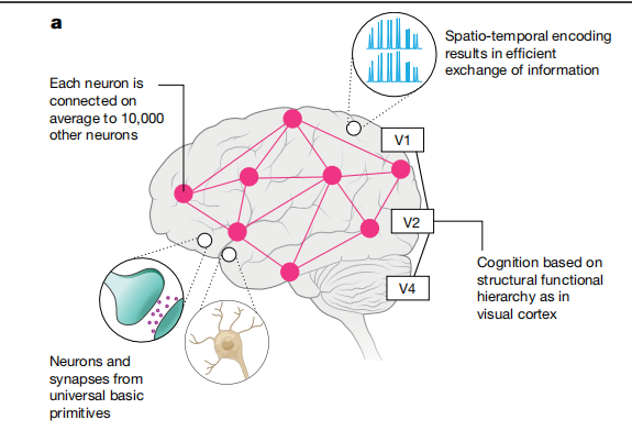 SNN and neuromorphic computing-CSDN博客