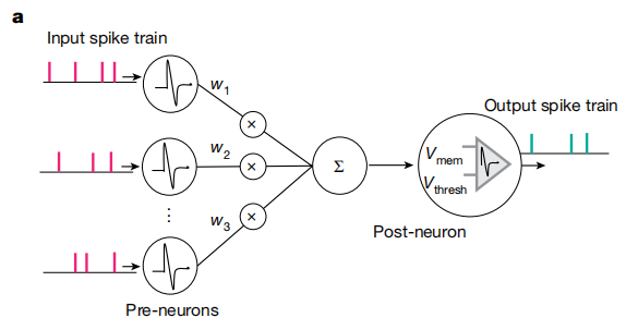 SNN and neuromorphic computing-CSDN博客