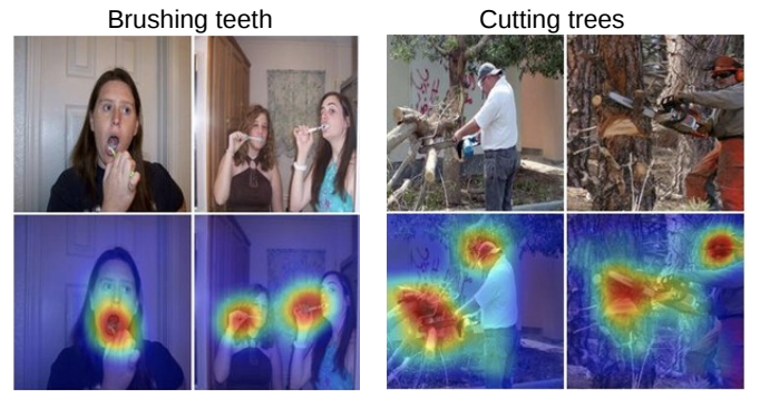 Pytorch可视化神经网络热力图(CAM)_pytorch 热力图-CSDN博客