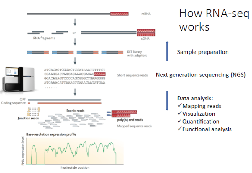 关于微阵列芯片和RNA-seq的比较 - 程序员大本营