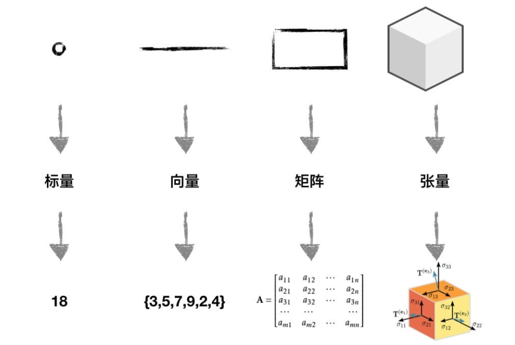 张量（tensor）及其操作总结 体数据tensor Csdn博客