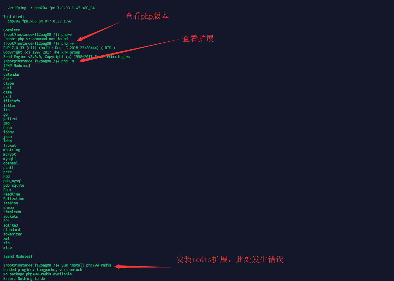 LAMP环境安装/redis安装/php-redis扩展安装_1panle面板安装php redis扩展-CSDN博客