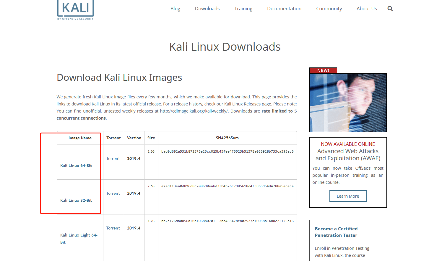 下载最新的kali-CSDN博客