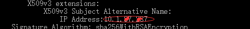 x509: cannot validate certificate for 10.30.0.163 because it doesn't contain any IP SANs-CSDN博客