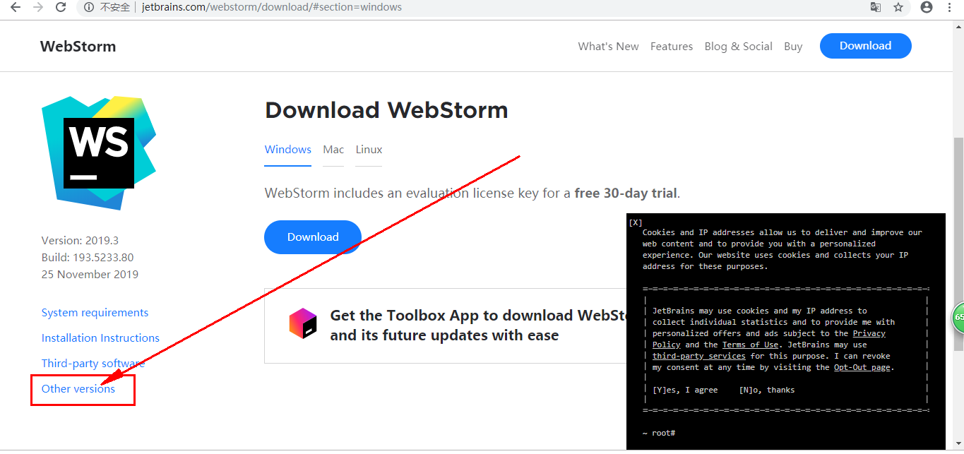 webStorm下载旧版本_webstorm官网如何下载其他版本-CSDN博客