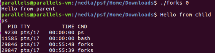 第8章-forks.c运行结果及分析_阅读分析程序fork1.c(参考代码如下所示),运行并观察记录屏幕上的显示结果,分析其-CSDN博客