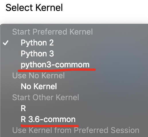 JupyterLab 配置远程python、R环境(与Jupyter兼容)_jupyter lab r-CSDN博客