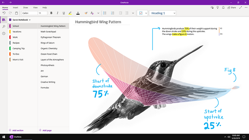 OneNote 与 OneNote 2016 有什么区别？_onenote2019和2016的区别-CSDN博客
