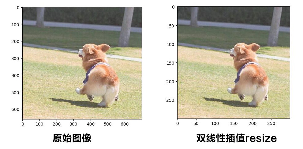 【TensorFlow】图片预处理函数_central crop-CSDN博客