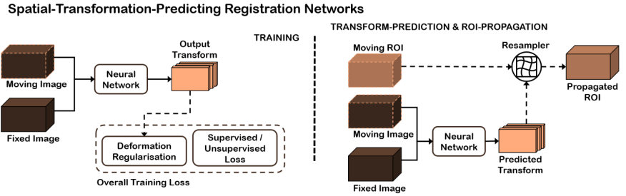 learn2reg-监督、弱监督和监督图像配准_target registration error-CSDN博客