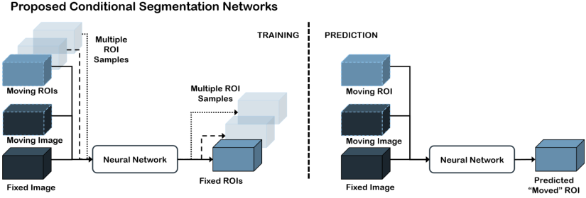 learn2reg-监督、弱监督和监督图像配准_target registration error-CSDN博客