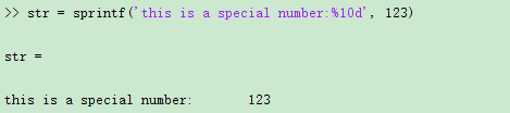 Matlab：sprintf格式化输出 数值%d_sprintf %d-CSDN博客