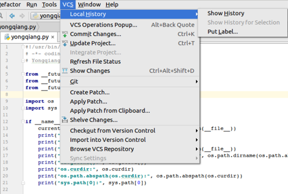 PyCharm - Show History (历史版本回滚)_pycharm history-CSDN博客