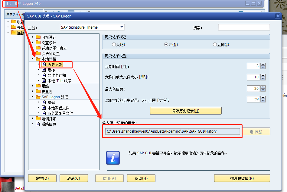 SAP GUI 730/740/750 Mac双系统Win10中兼容性异常、卡顿处理 - 程序员大本营