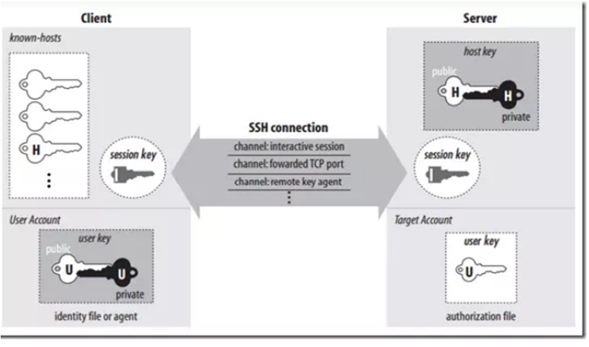 SSH (Secure Shell)_ssh1和ssh2的区别-CSDN博客