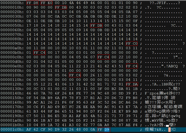 视频编解码类型MJPEG数据格式介绍-CSDN博客