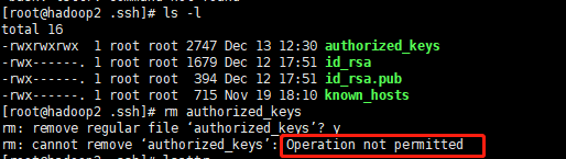 【报错！】Root用户下删除文件失败rm: cannot remove ‘[文件名]’: Operation not permitted_rm: cannot remove 'swapfile ...