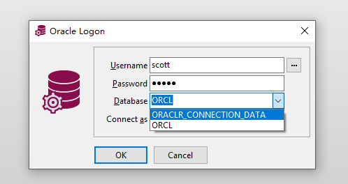 Instalación y configuración de PL / SQL Developer - programador clic