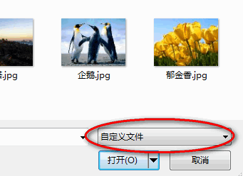 HTML input type=file文件 选择表单元素 图片上传等等_input type="file-CSDN博客