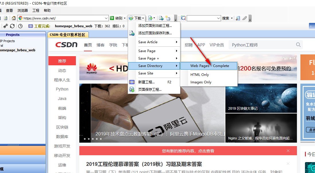 完整网页下载，使用webzip_webzip使用教程-CSDN博客