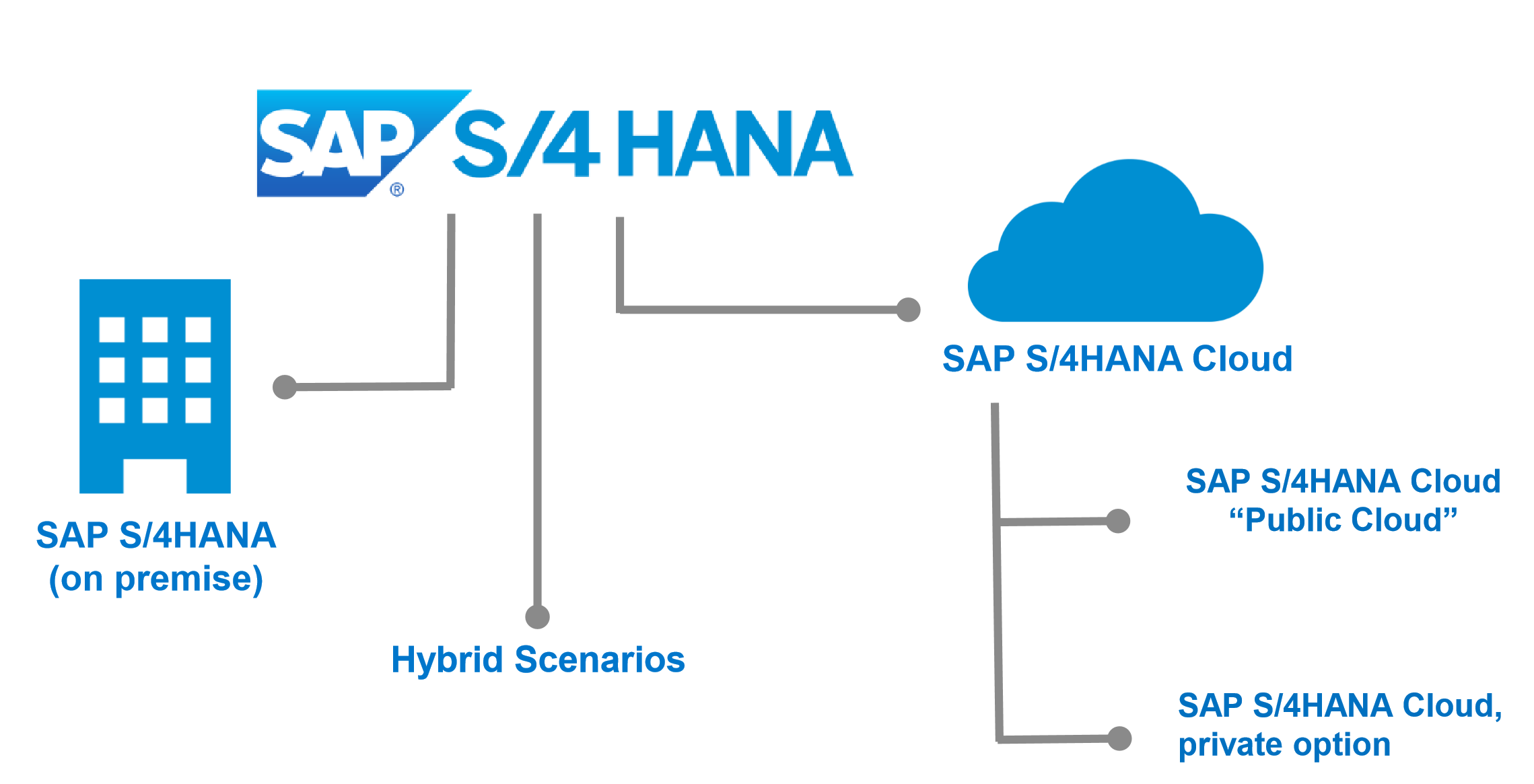SAP On Premise和SAP S/4 HANA Cloud的区别_on-premise和cloud-CSDN博客