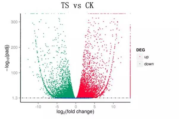 RNA-seq结果图片如何解读（火山图、韦恩图、聚类热图和折线图）_聚类热图怎么分析-CSDN博客