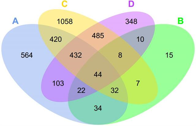 RNA-seq结果图片如何解读（火山图、韦恩图、聚类热图和折线图）_聚类热图怎么分析-CSDN博客