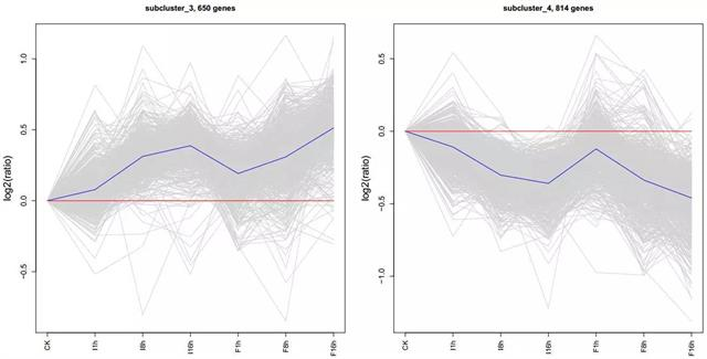 RNA-seq结果图片如何解读（火山图、韦恩图、聚类热图和折线图）_聚类热图怎么分析-CSDN博客