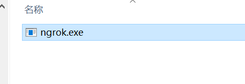 ngrok技术原理及下载使用_ngrok原理-CSDN博客