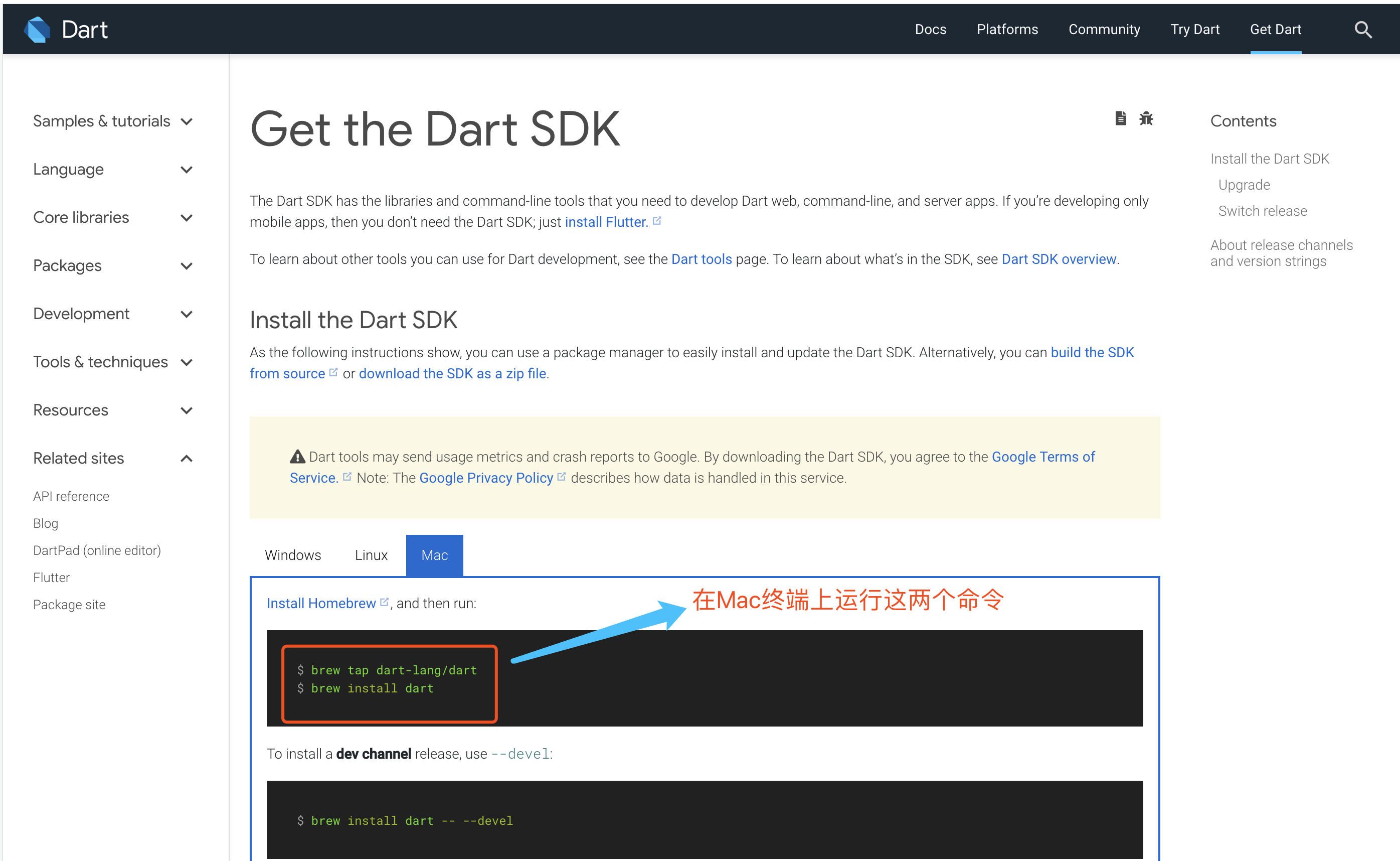 Dart语言学习一：搭建Dart环境，运行第一个Dart程序_dart运行-CSDN博客